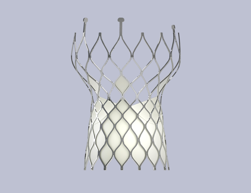 经导管人工主动脉瓣膜置换系统-Disease Solutions-VENUS MEDTECH-